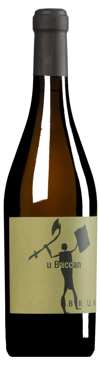 "u Baccan" Pigato Riviera Ligure di Ponente DOC 2022 (BIO) | Ligurien ...
