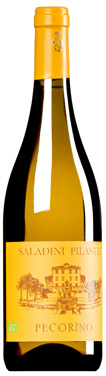 Pecorino Falerio DOC 2024 (BIO) | Marche | Superiore.de