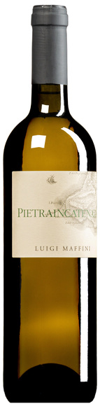 "Pietraincatenata" Fiano Cilento DOC 2022 (BIO) | Campania | Superiore.de